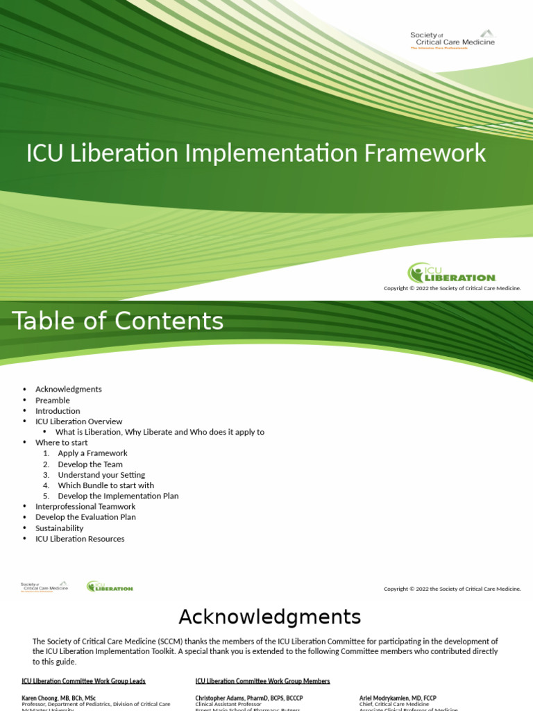 ICU Liberation Implementation Guide | PDF | Intensive Care Medicine ...