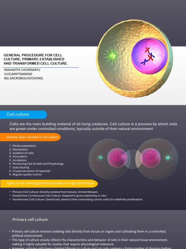 Types For Animal Cell Cultures | PDF | Cell Culture | Cancer