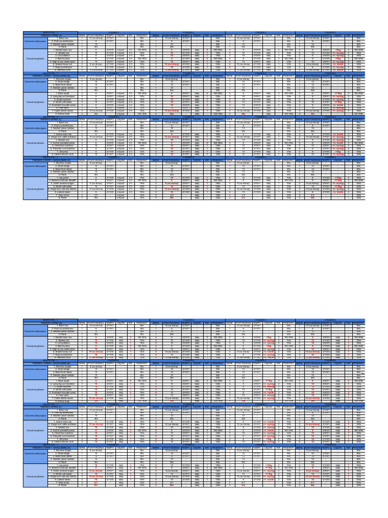 Plan Treningowy - Kuba | PDF