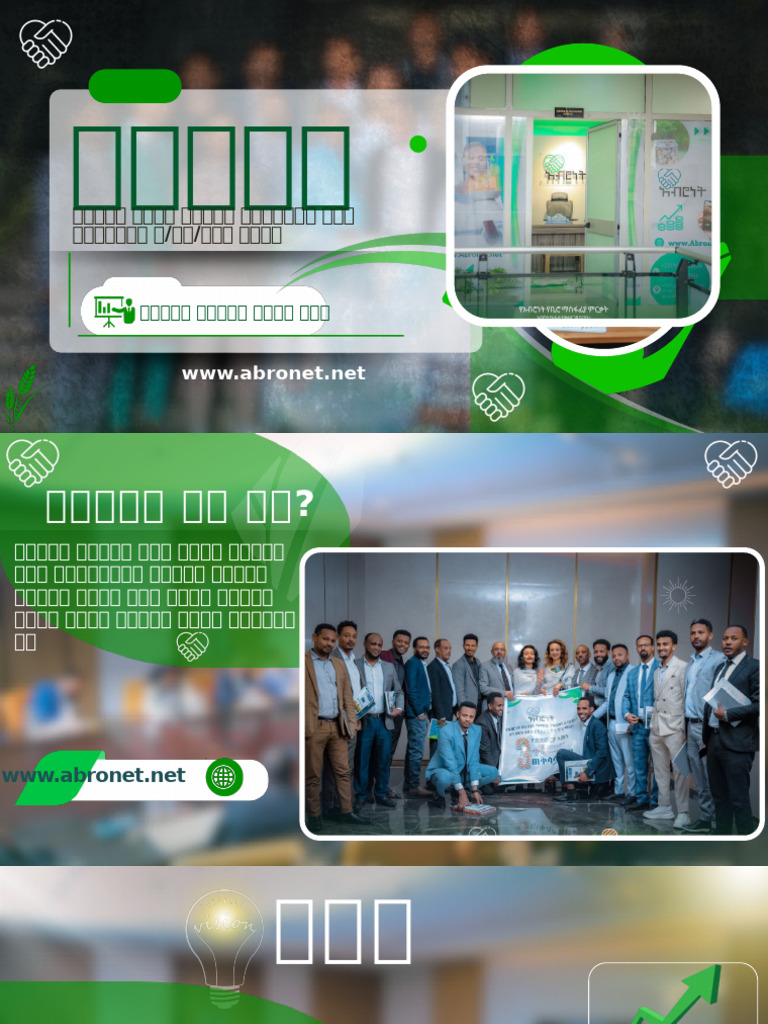 Abronet Slide 2024 | PDF