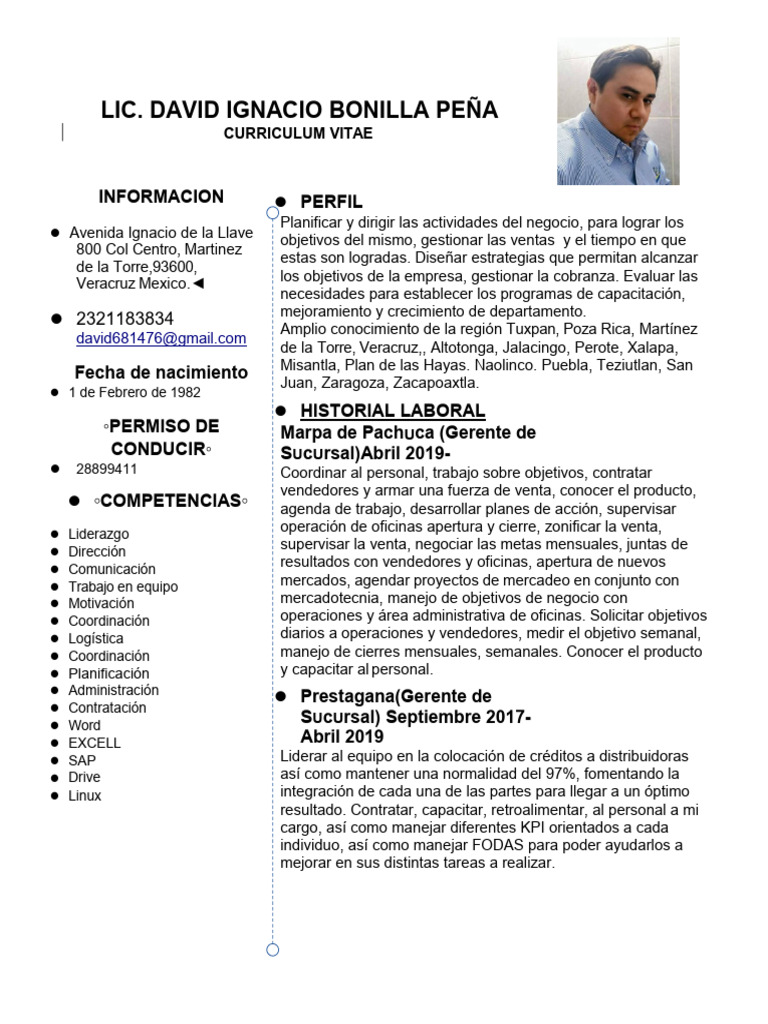 Curriculum David | PDF | Marketing | Business