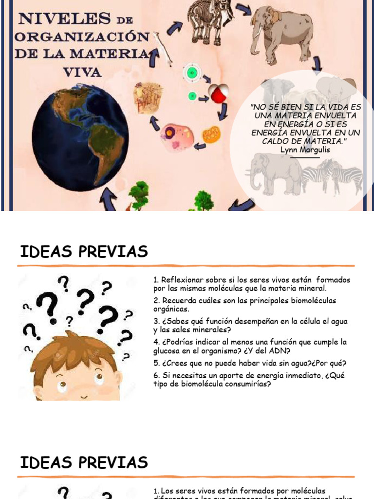 T01-Organizacion de los seres vivos-1Bach 2024-25 | PDF | Organismos | Lípido