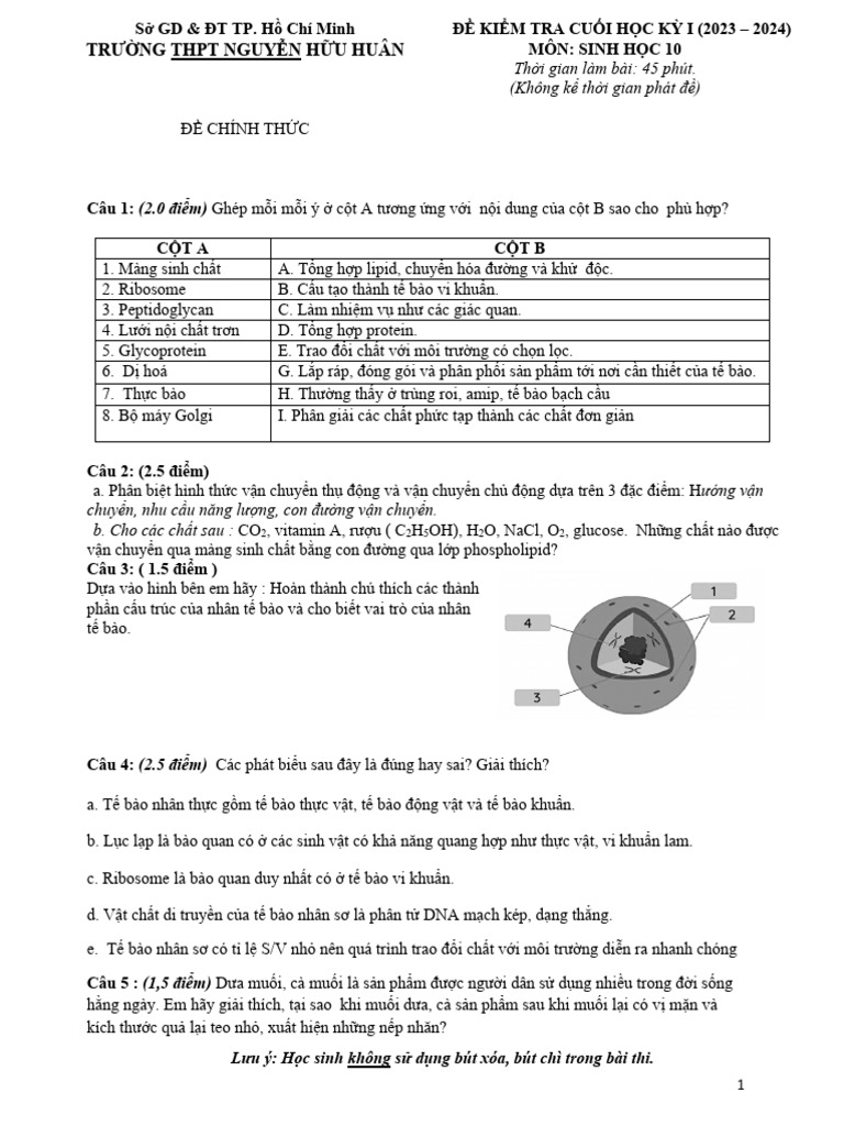 SINH 10-HK1-23-24 - Đè | PDF