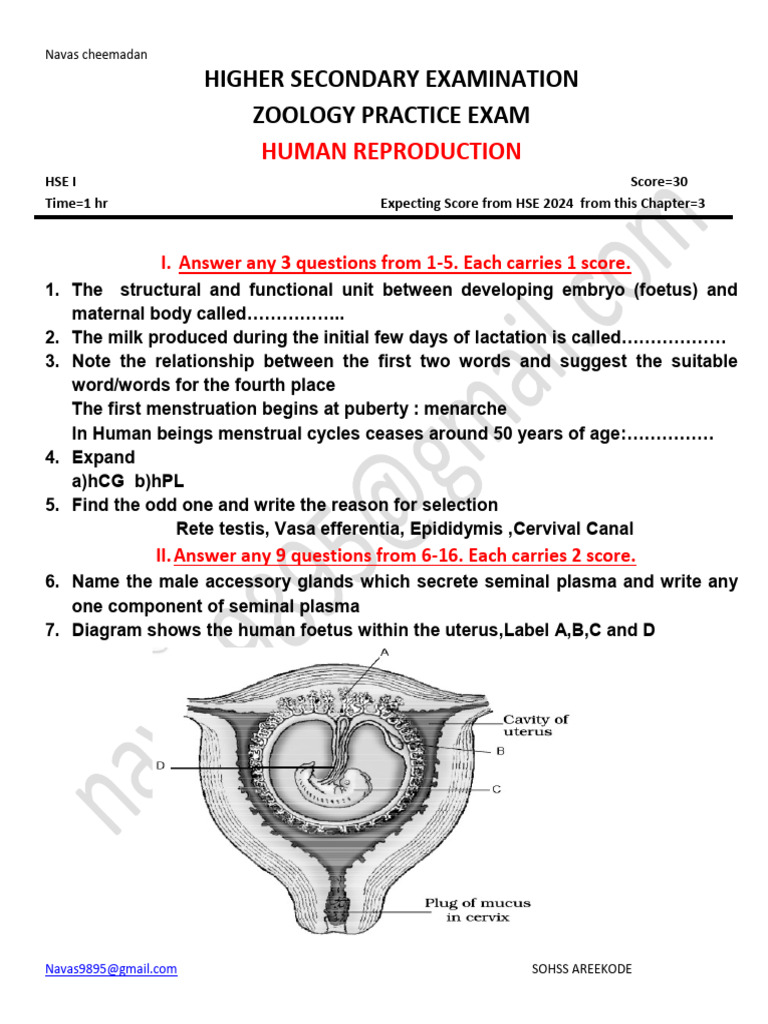 01-Human reproduction | PDF | Menstrual Cycle | Endocrine System