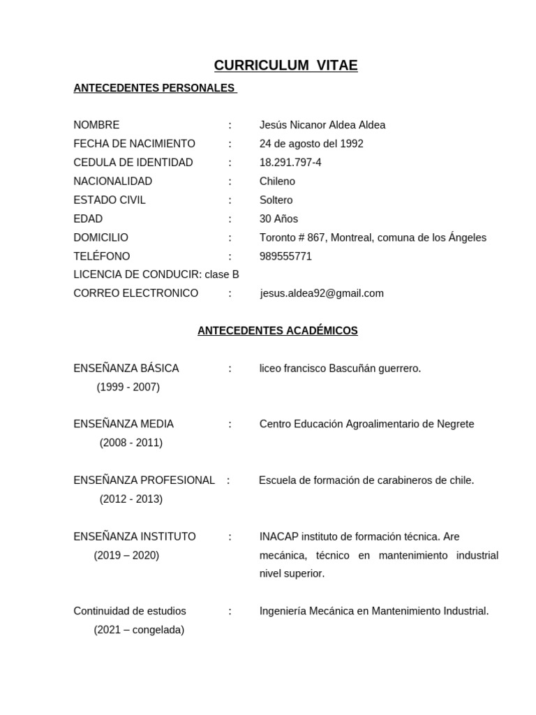 Curriculum Jesus Aldea | PDF