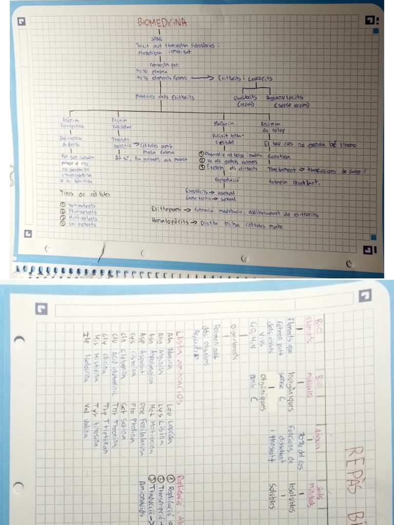 Resums Primer Trimestre | PDF