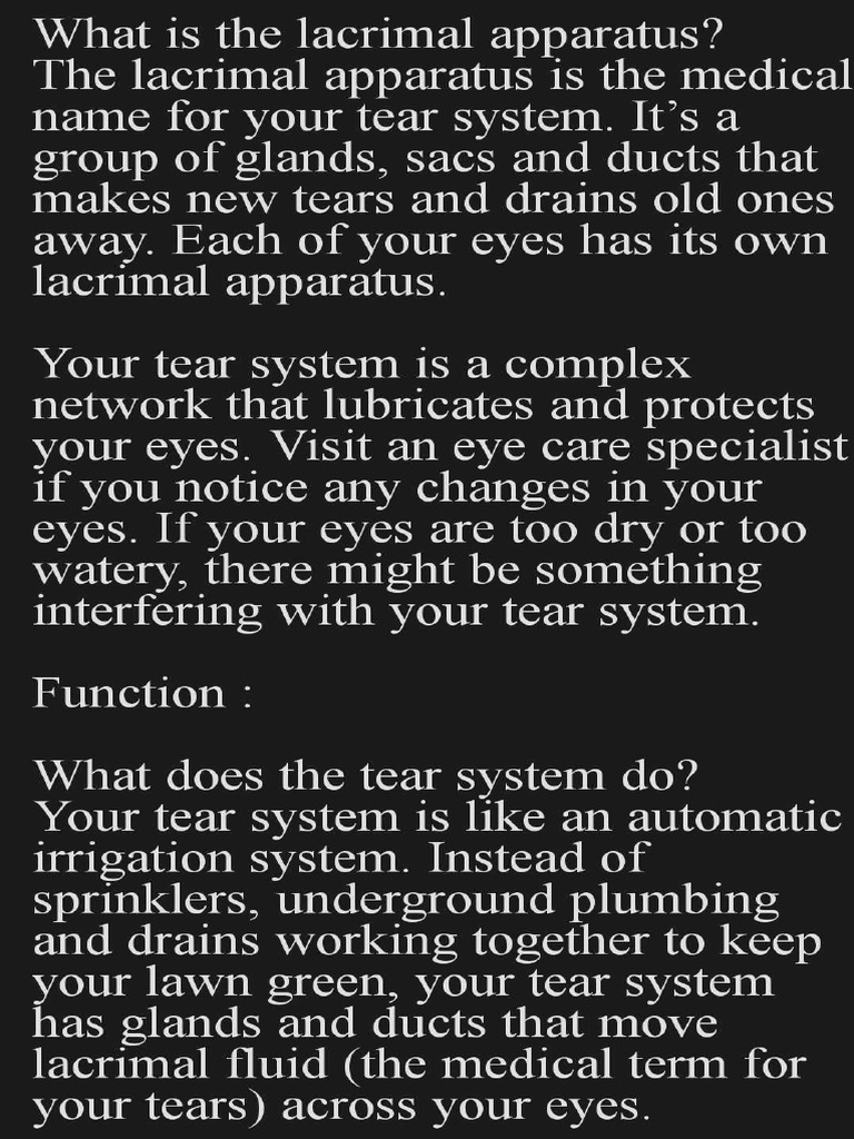 Assignment @maaz | PDF