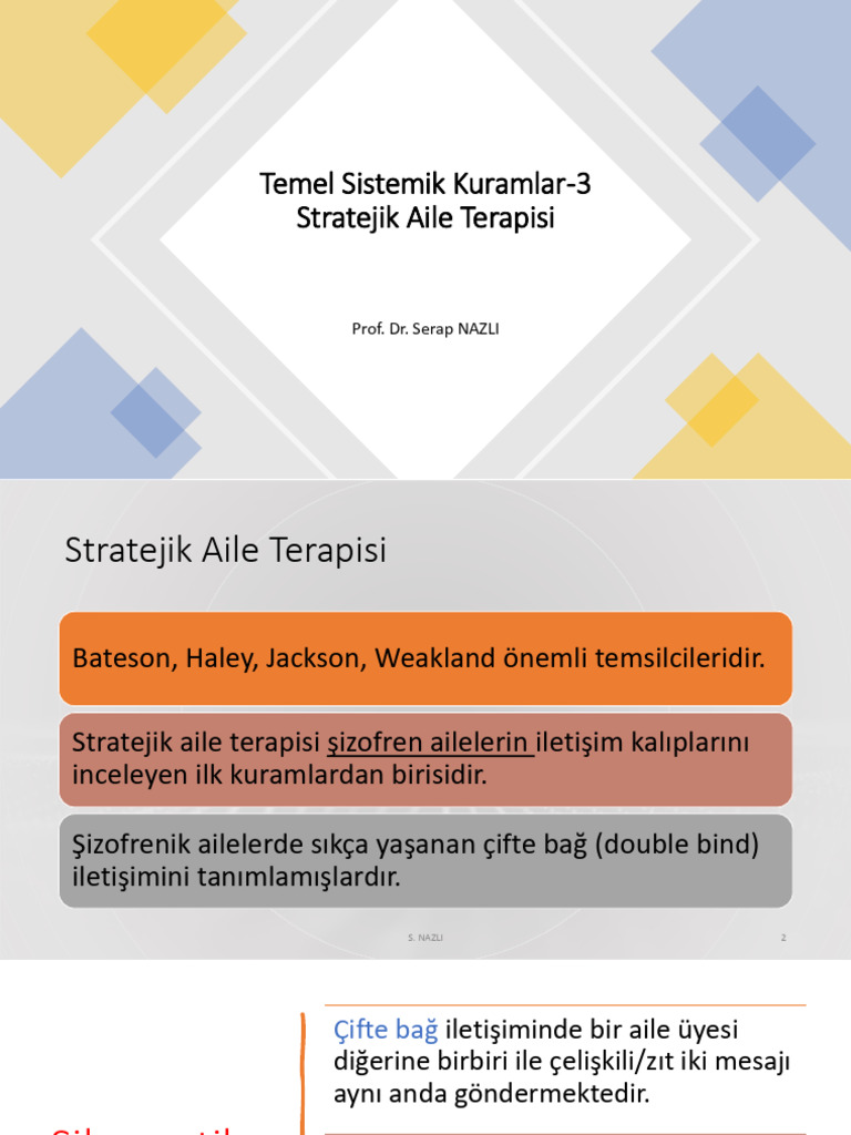Sunu-6 Temel Kuramlar (Haley) | PDF