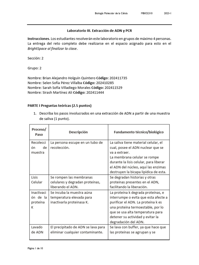Labs 3, 4, y 5 Grupo 2 Sección 2 | PDF | Plásmido | Transformación (Genética)