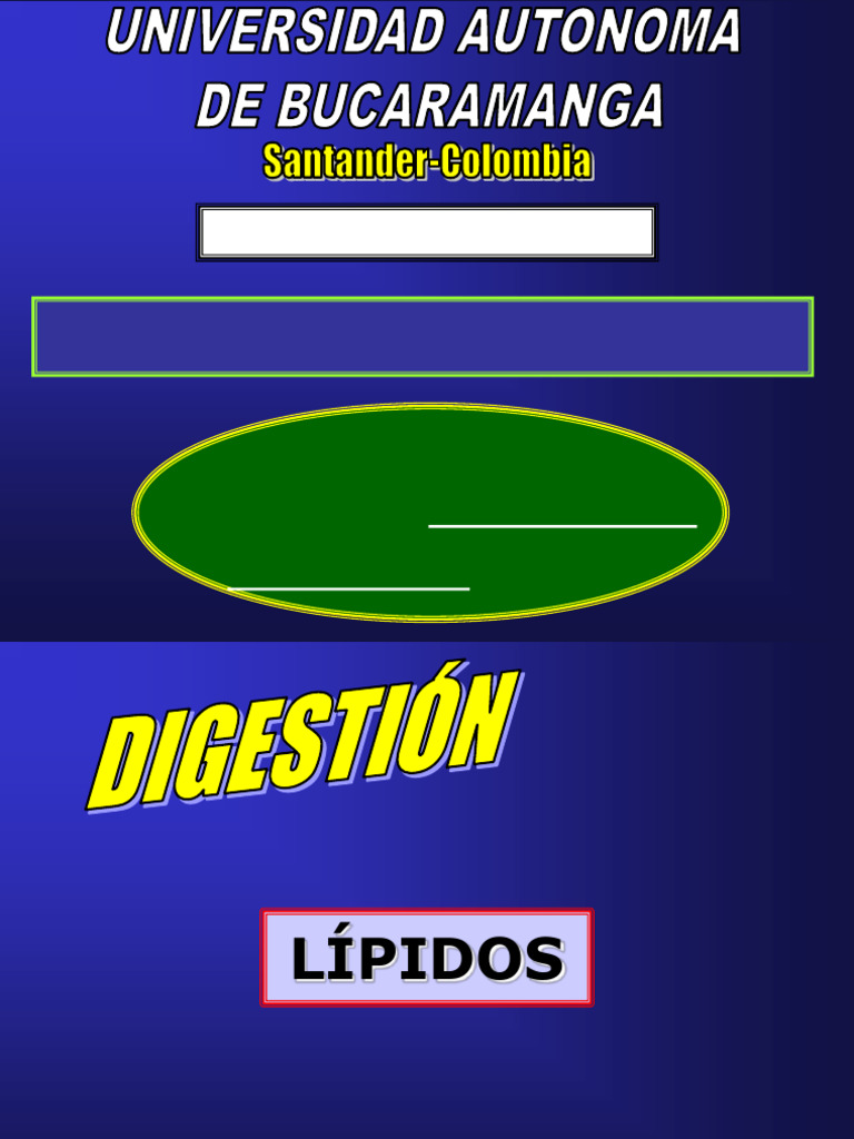 Digestion RZP | PDF | Digestión | Bilis