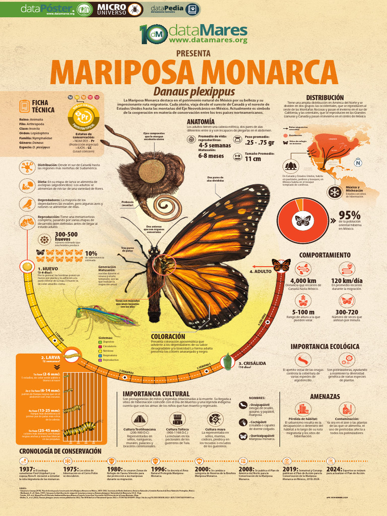 Mariposa Monarca | PDF | Insectos