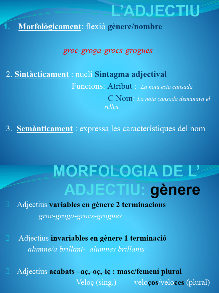 L'ADJECTIU - Morfologia | PDF