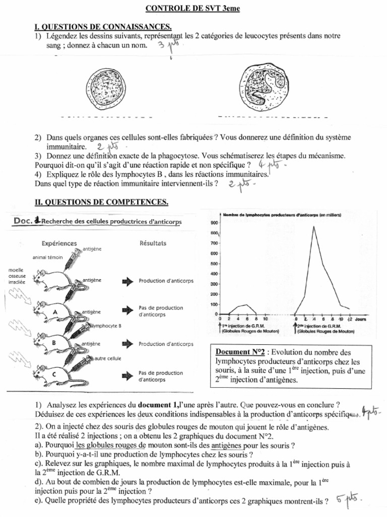 Evaluation Sommative 4 | PDF