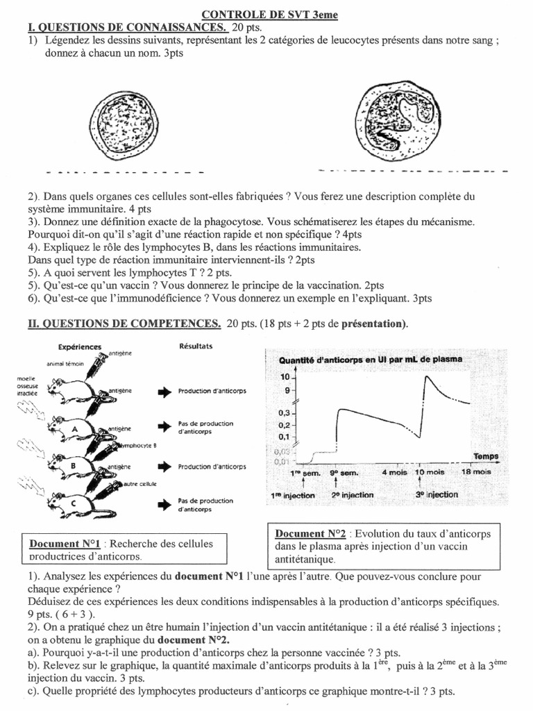 Evaluation Sommative 3 | PDF
