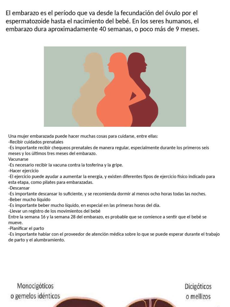 Emba Razo | PDF | El embarazo | Parto