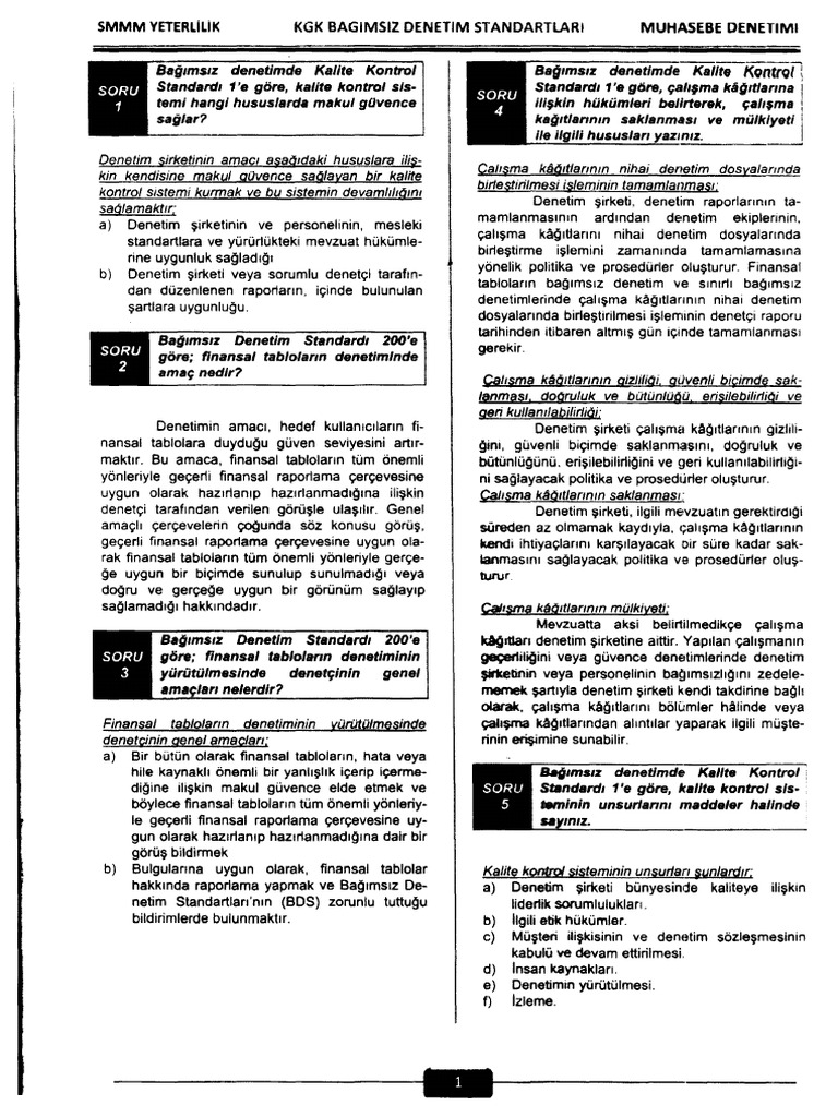 Kgk Bağımsız Denetim Standartları (1) | PDF