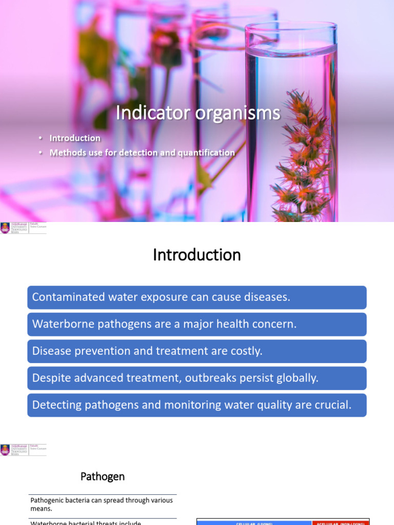 2.5. Indicator Organisms | PDF | Salmonella | Pathogen