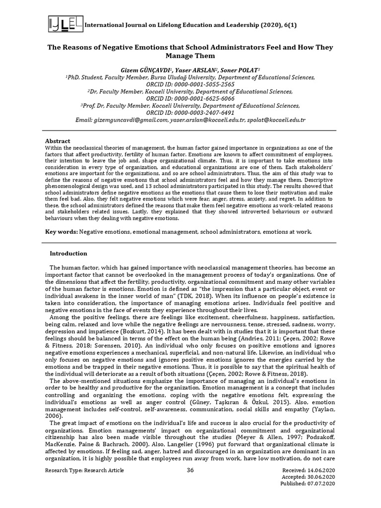 Managing Negative Emotions in Schools | PDF | Emotions | Anger