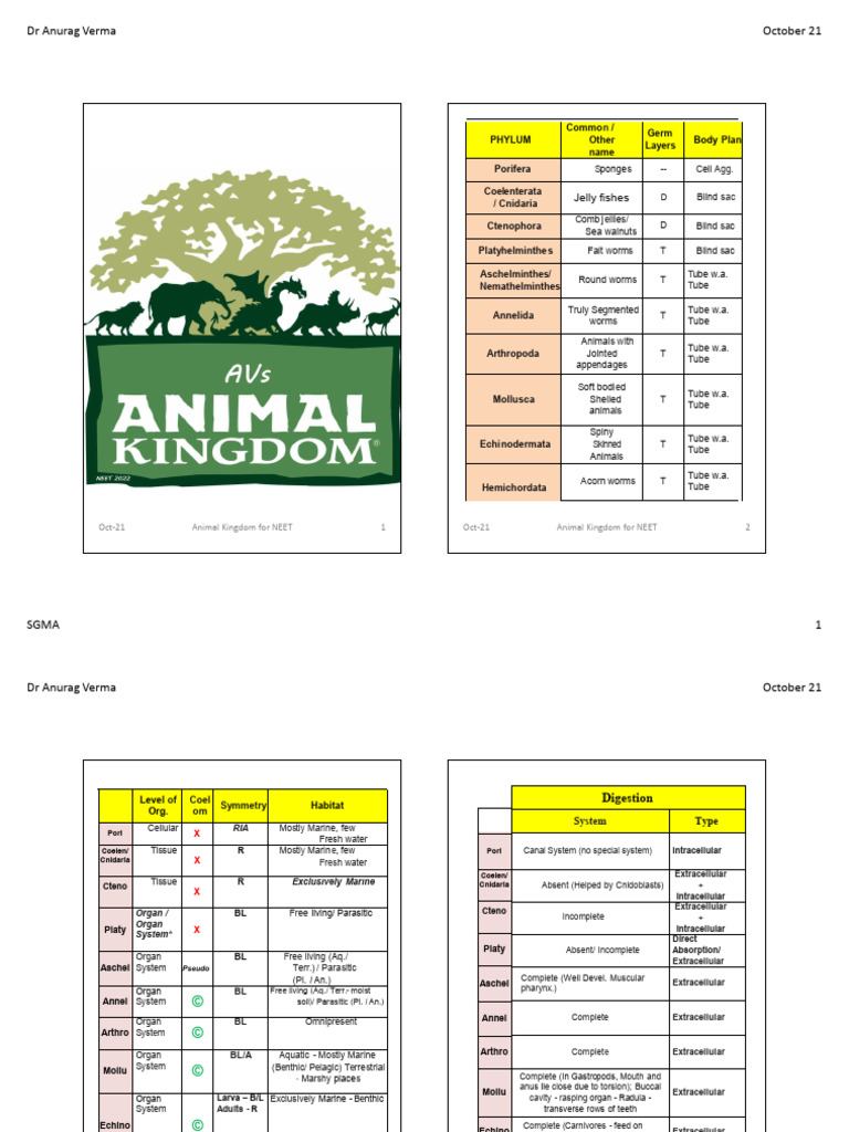 animal kingdom tips | PDF | Mouth | Skeleton