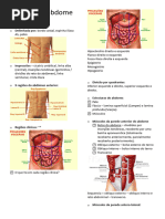 Anatomia da Região Inguinal e Canal Inguinal | PDF | Testículo | Anatomia
