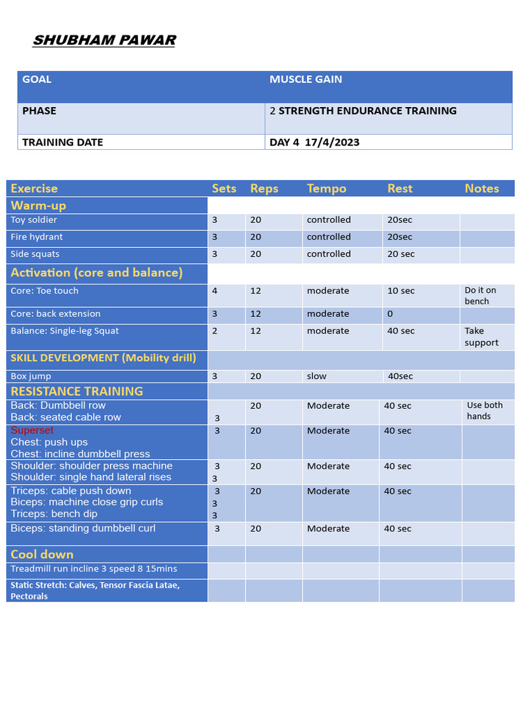 Day 4 Muscle Gain Workout Plan | PDF