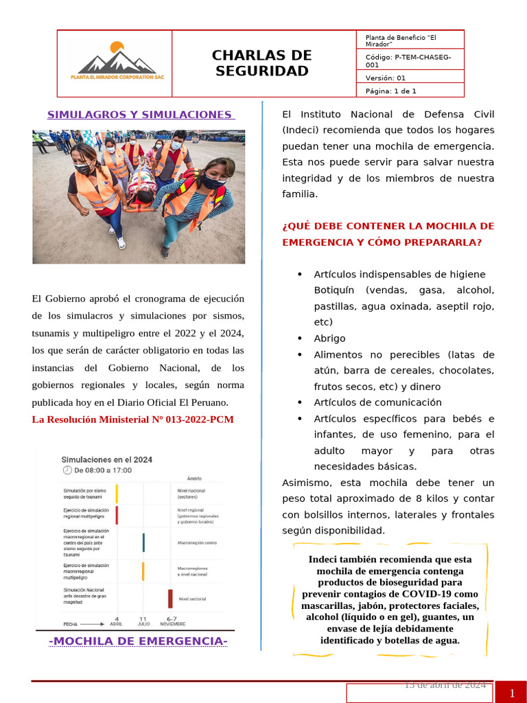 Simulacros y Simulaciones | PDF