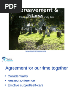 Adult Attitude to Grief Scale Guide | PDF | Grief | Health Care