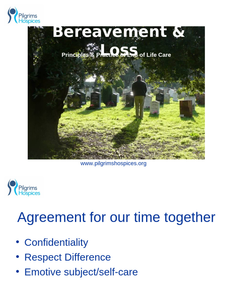 Bereavement PP 2018latest | PDF | Grief | Emotions