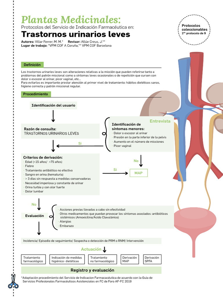 Síntomas y Tratamientos de Trastornos Urinarios | PDF | Medicina ...