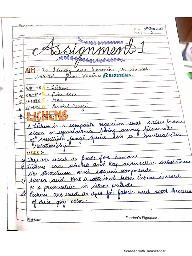 Evs Practicals | PDF