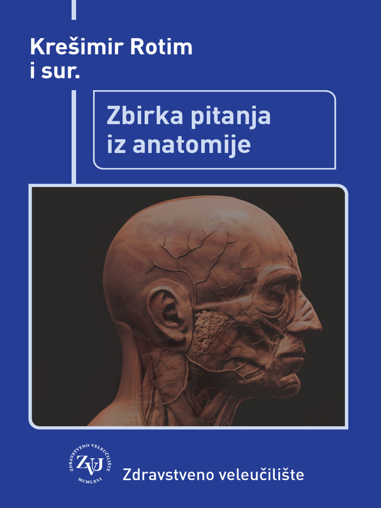 Anatomija Pitanja 2 | PDF