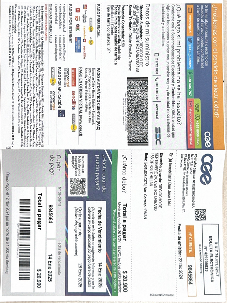 Boleta CGE Enero 2025 | PDF