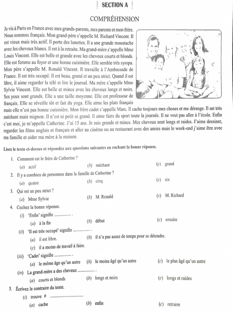 Leçon 1 - La Famille-WORKSHEET | PDF
