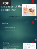 Grade 12 Life Science The Ear PDF | PDF | Ear | Hearing