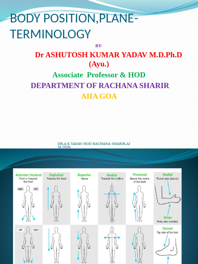 23 Anatomical Planes and Position-1 | PDF