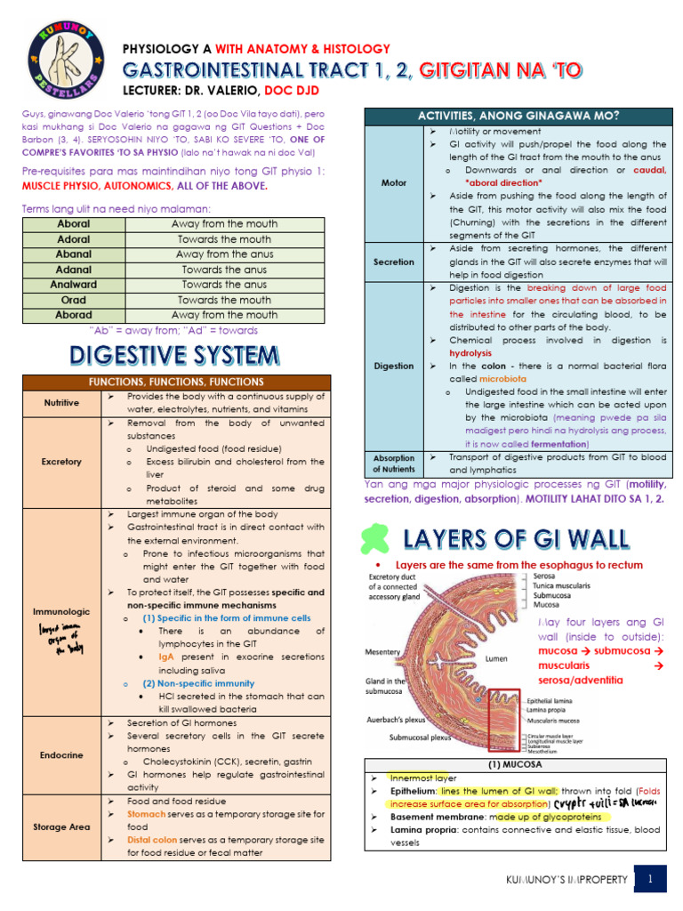 3.0 Gastrointestinal Physiology i II Part 1 Doc V | PDF ...