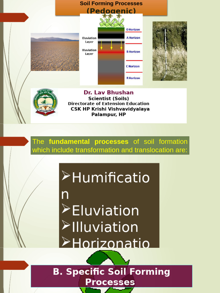 Specific Soil Forming Processes | PDF | Soil | Horticulture