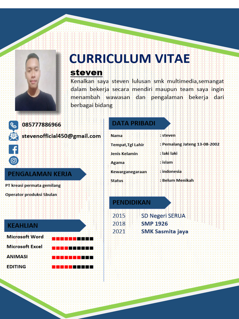 CV-steven (Autosaved) Terbaru | PDF