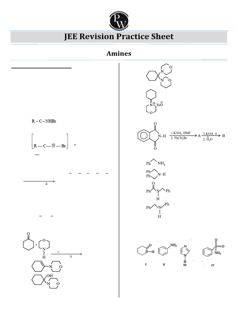 Amines | PDF | Amine | Amide
