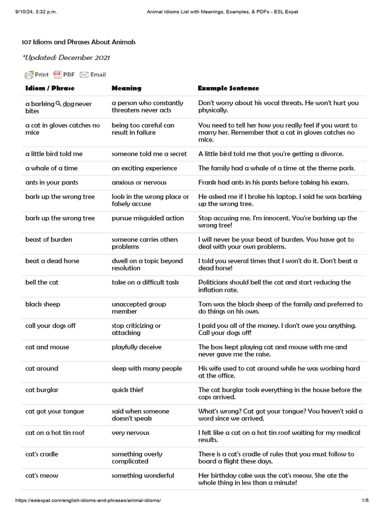 Animal Idioms List With Meanings, Examples, & PDFs - ESL Expat | PDF | Cats