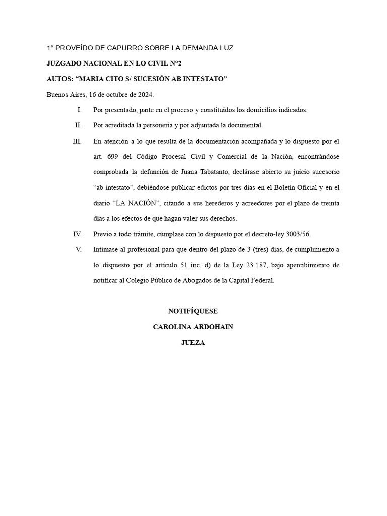 Proveido Capurro Demanda Luz | PDF