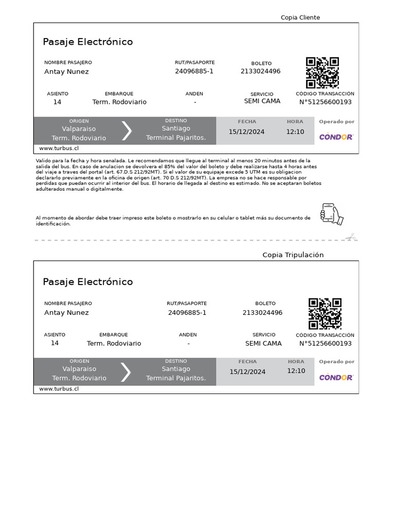 Pasajes Electrónicos Turbus | PDF