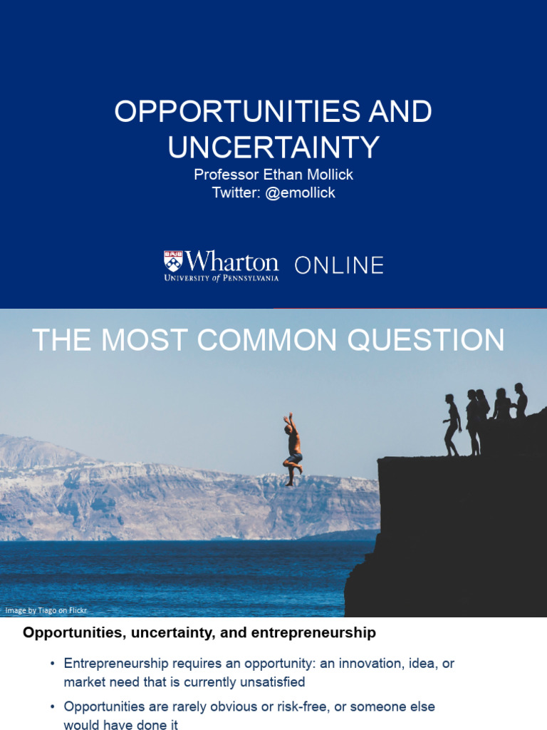 2.1 Opportunities and Uncertainty | PDF | Entrepreneurship | Startup ...