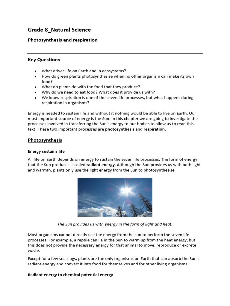 Biodiversity Of Plants Pdf Photosynthesis Nature