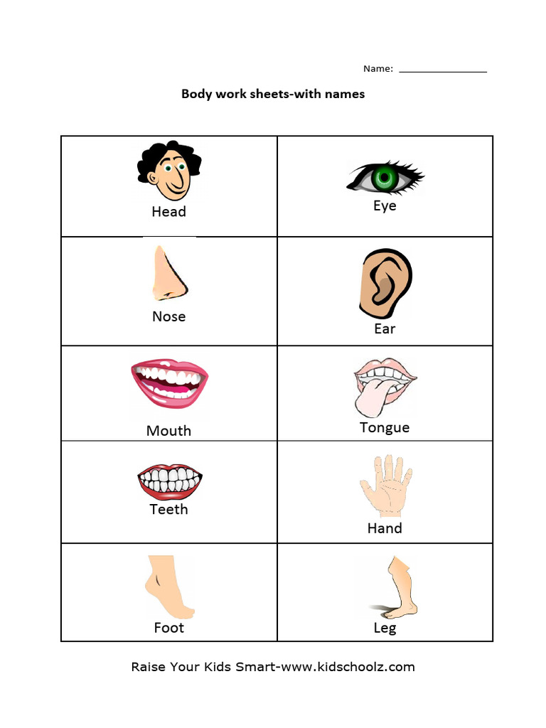 Microsoft Word - Human - Body - With - Names | PDF