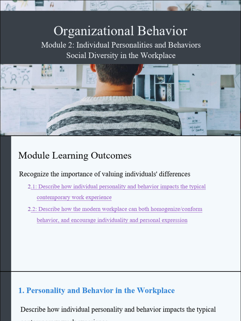02 - Individual Personalities and Social Diversity in Workplace | PDF ...
