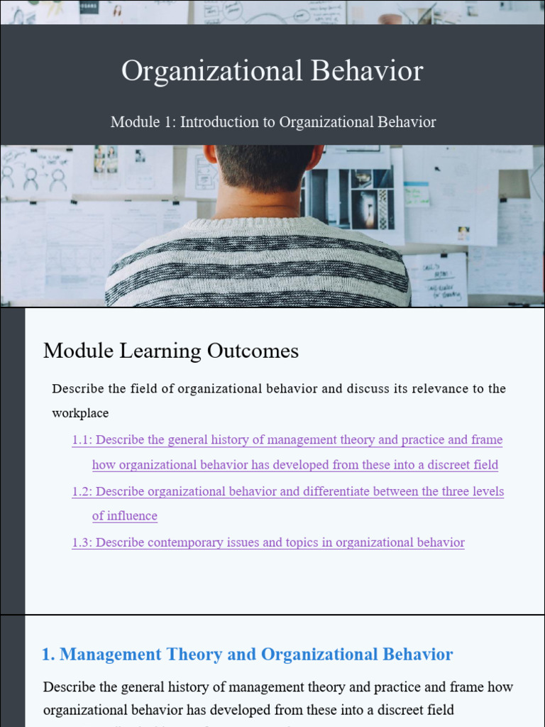 01_Introduction To Org Behavior | PDF