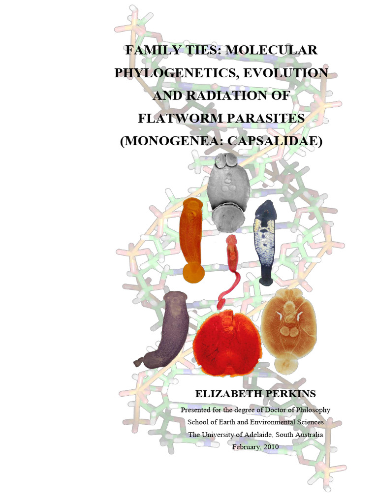 Para | PDF | Phylogenetics | Polymerase Chain Reaction
