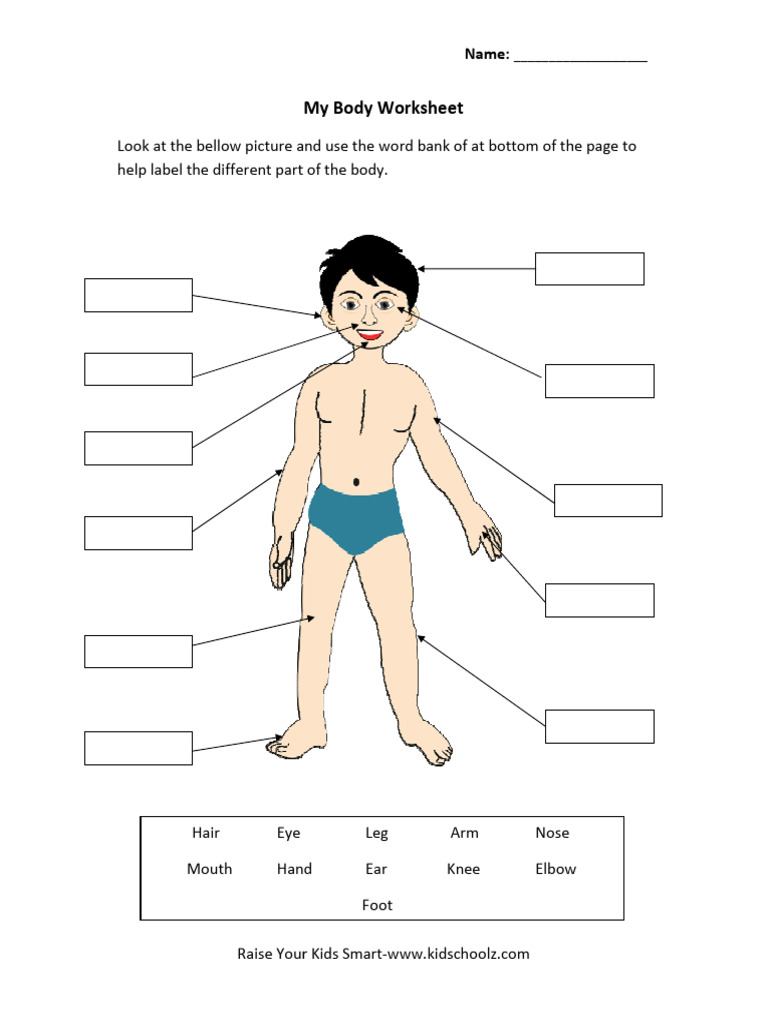 Microsoft Word - My Body Parts Sheet | PDF