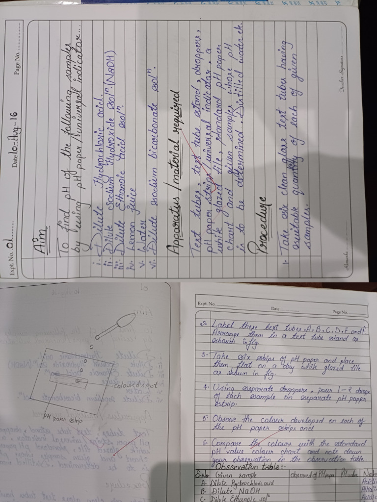 Class 10th practical chemistry, bio | PDF